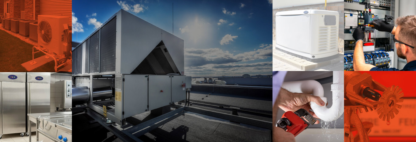 Service - Stewart Richey